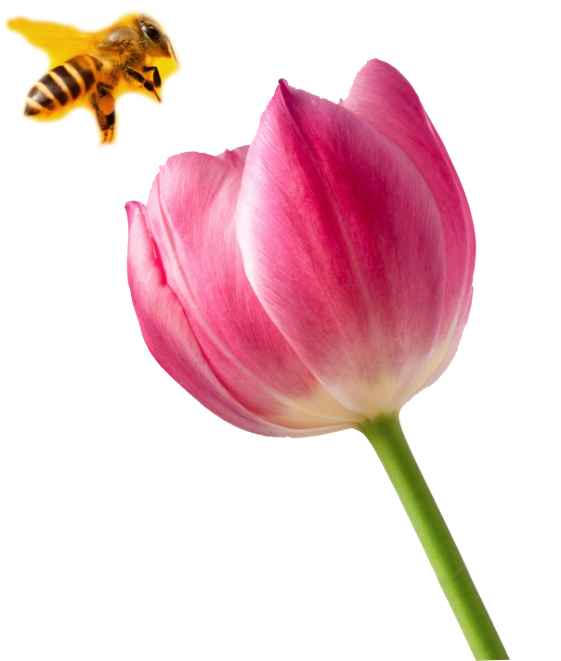 Thought-provoking design - Arctik